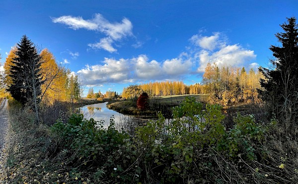 Auran kunta - Kuntarekry